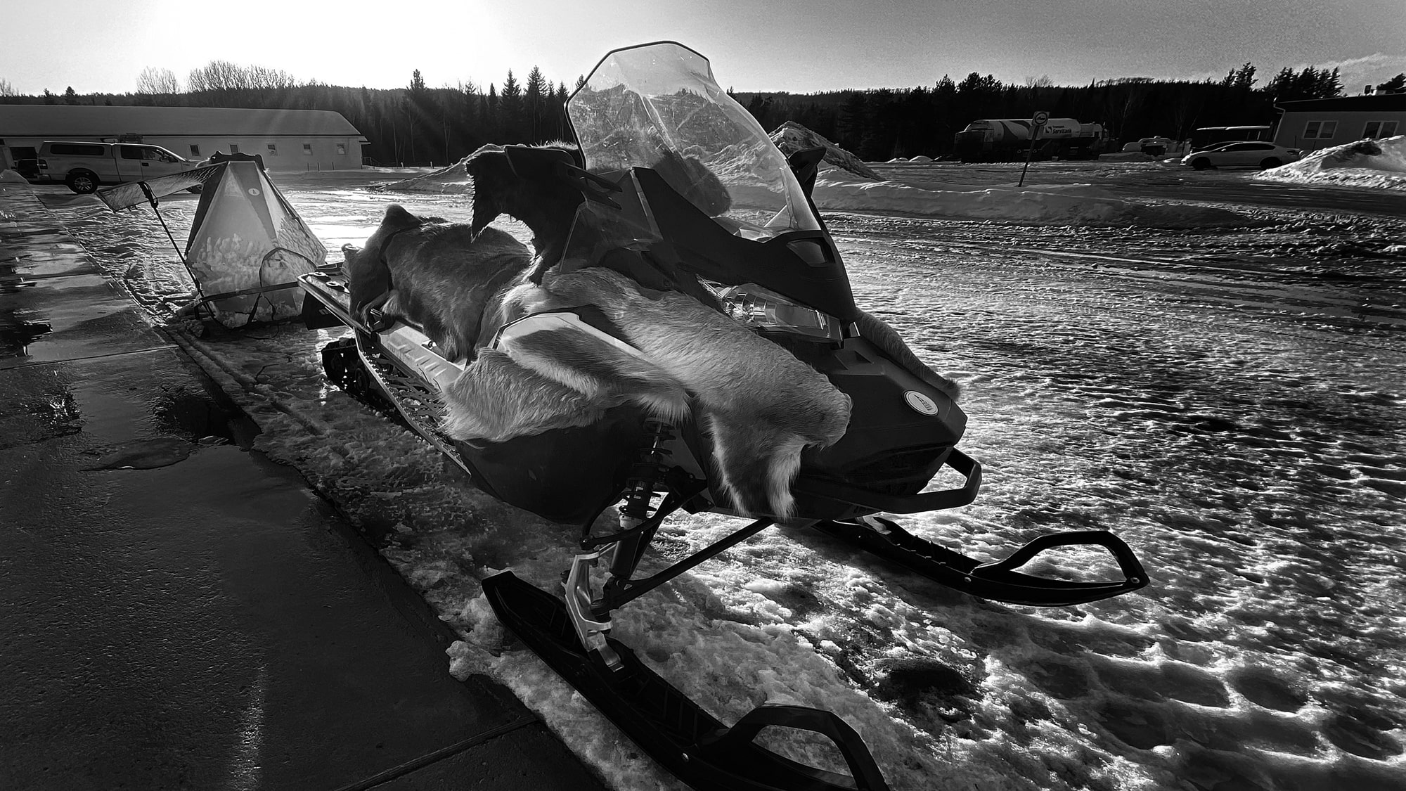 Biennale nationale de sculpture contemporaine par Patrick Beaulieu ...