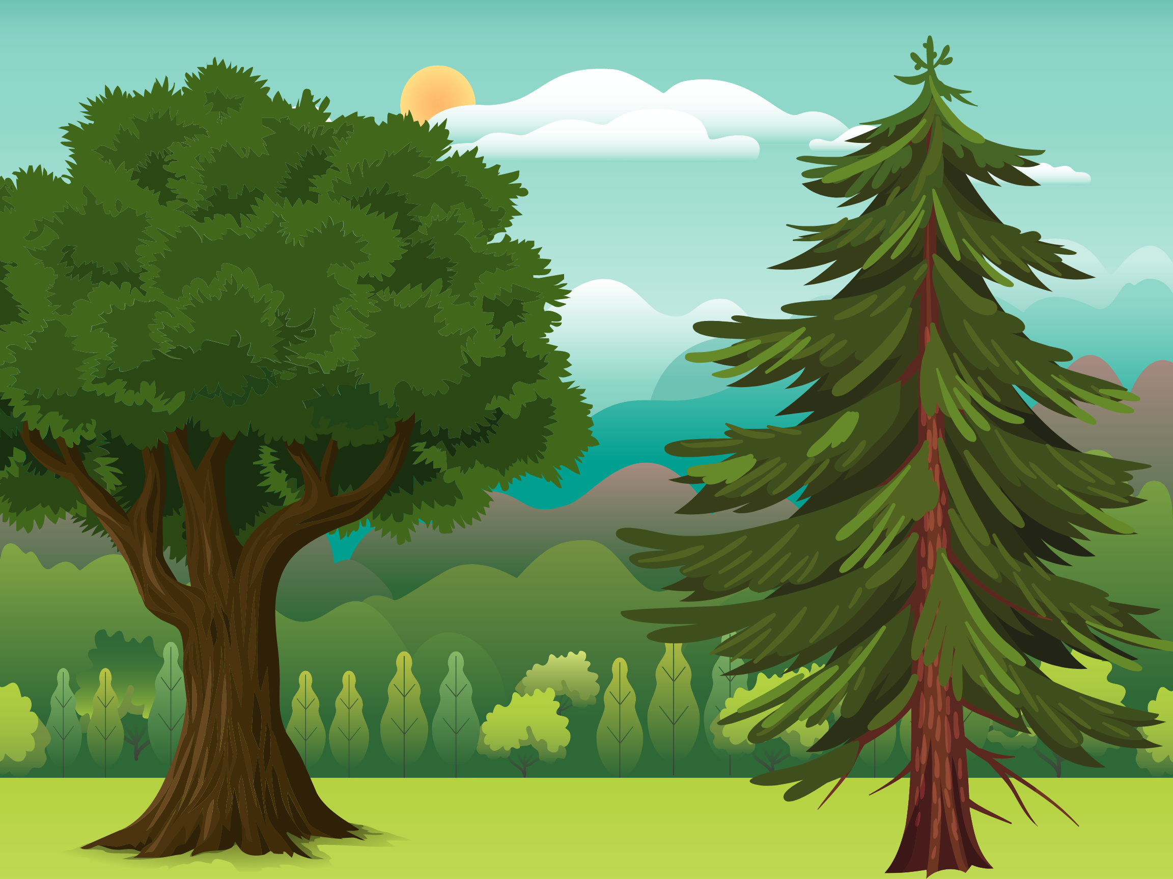 L’ARBRE DANS TOUS LES SENS- EN CLASSE | Culture Trois-Rivières